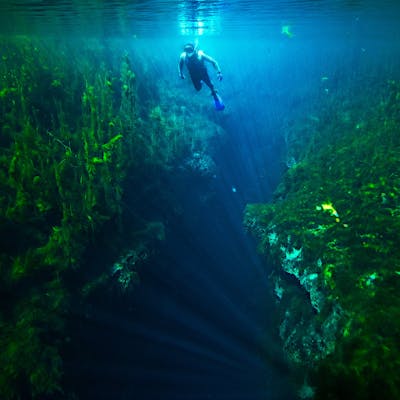Piccaninnie Ponds Conservation Park - Wye, Attraction | South Aus...