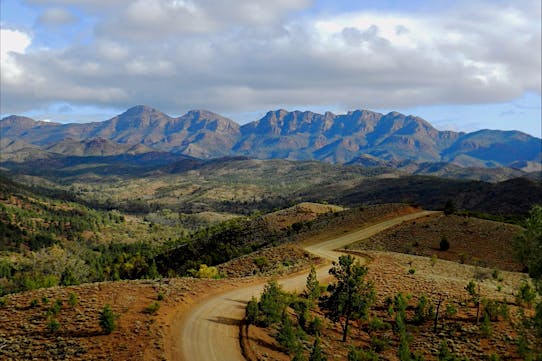 a Half Day Flinders Ranges Gorges Tour, Tour Service | South Australia