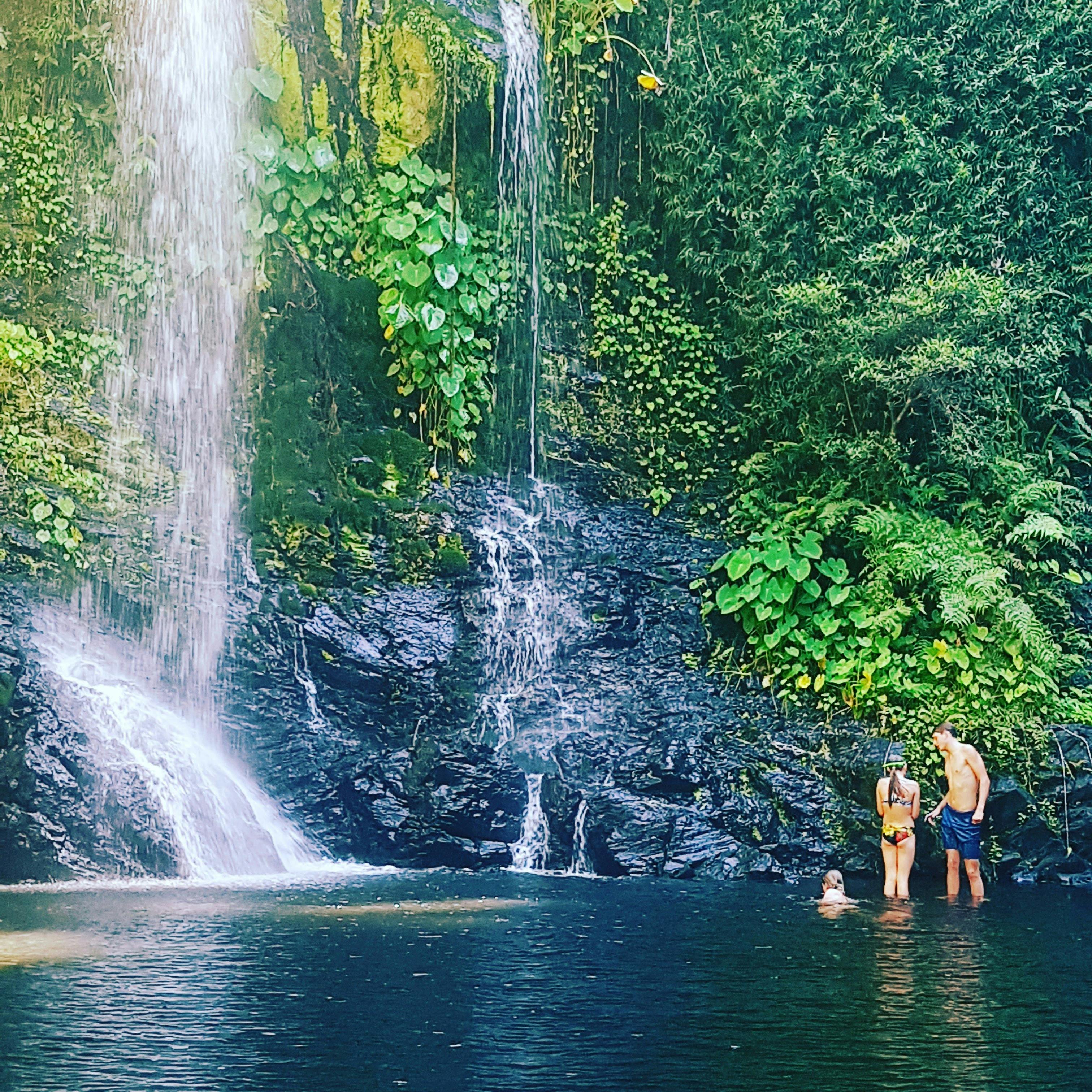 Daintree Discovery Tours | Tours | Queensland