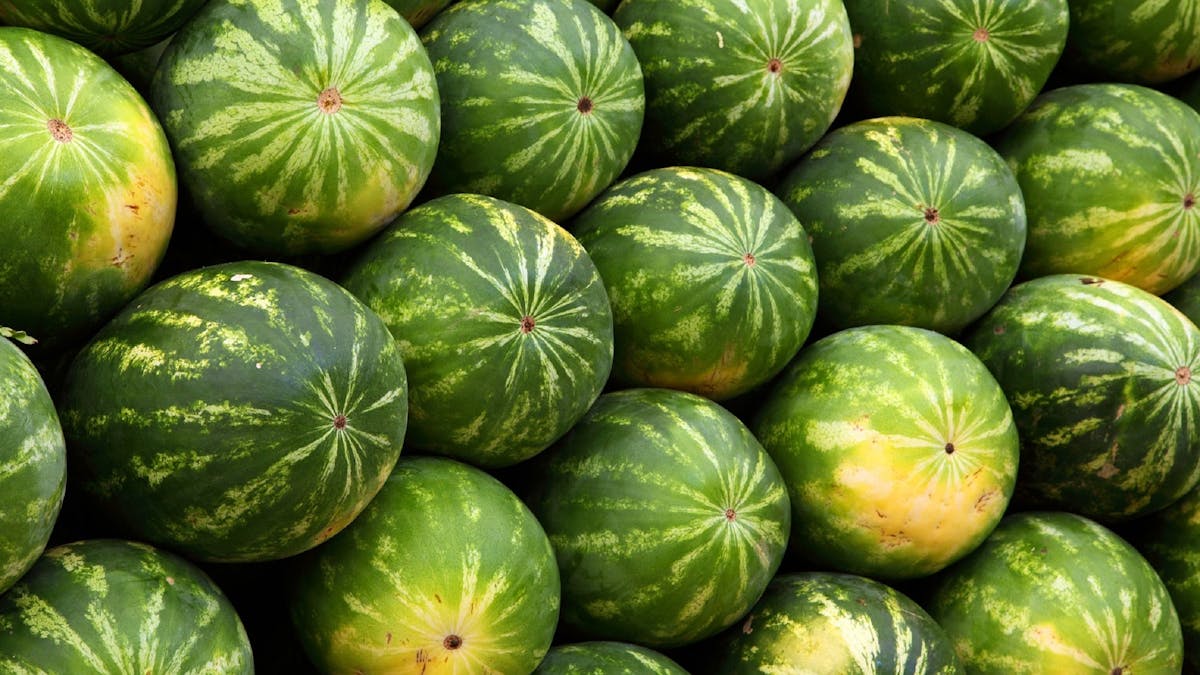 Yeppoon Community Market | Events | Queensland
