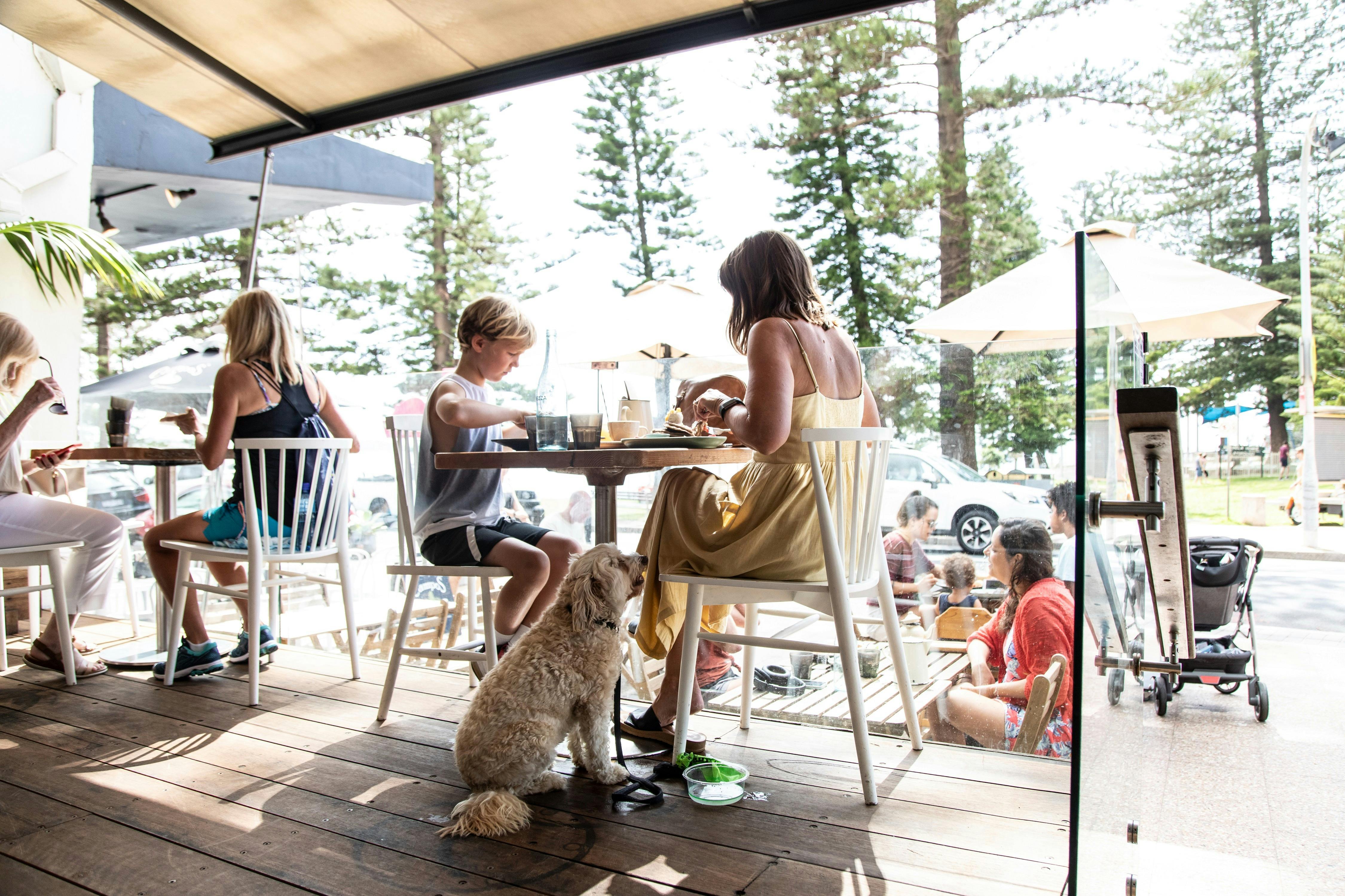 Girdlers Dee Why | Sydney, Australia - Official Travel & Accommodation ...