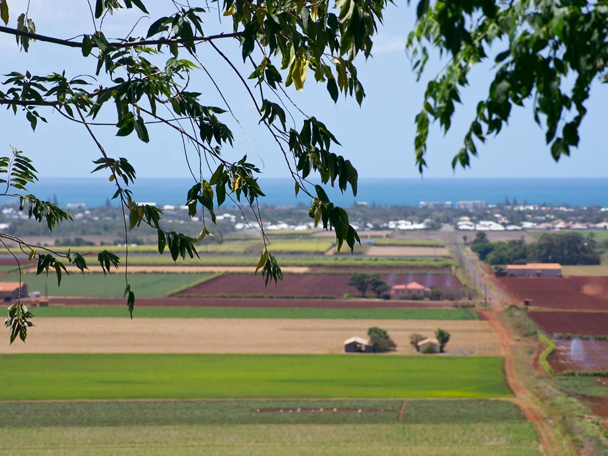 The Hummock Destination Information Queensland