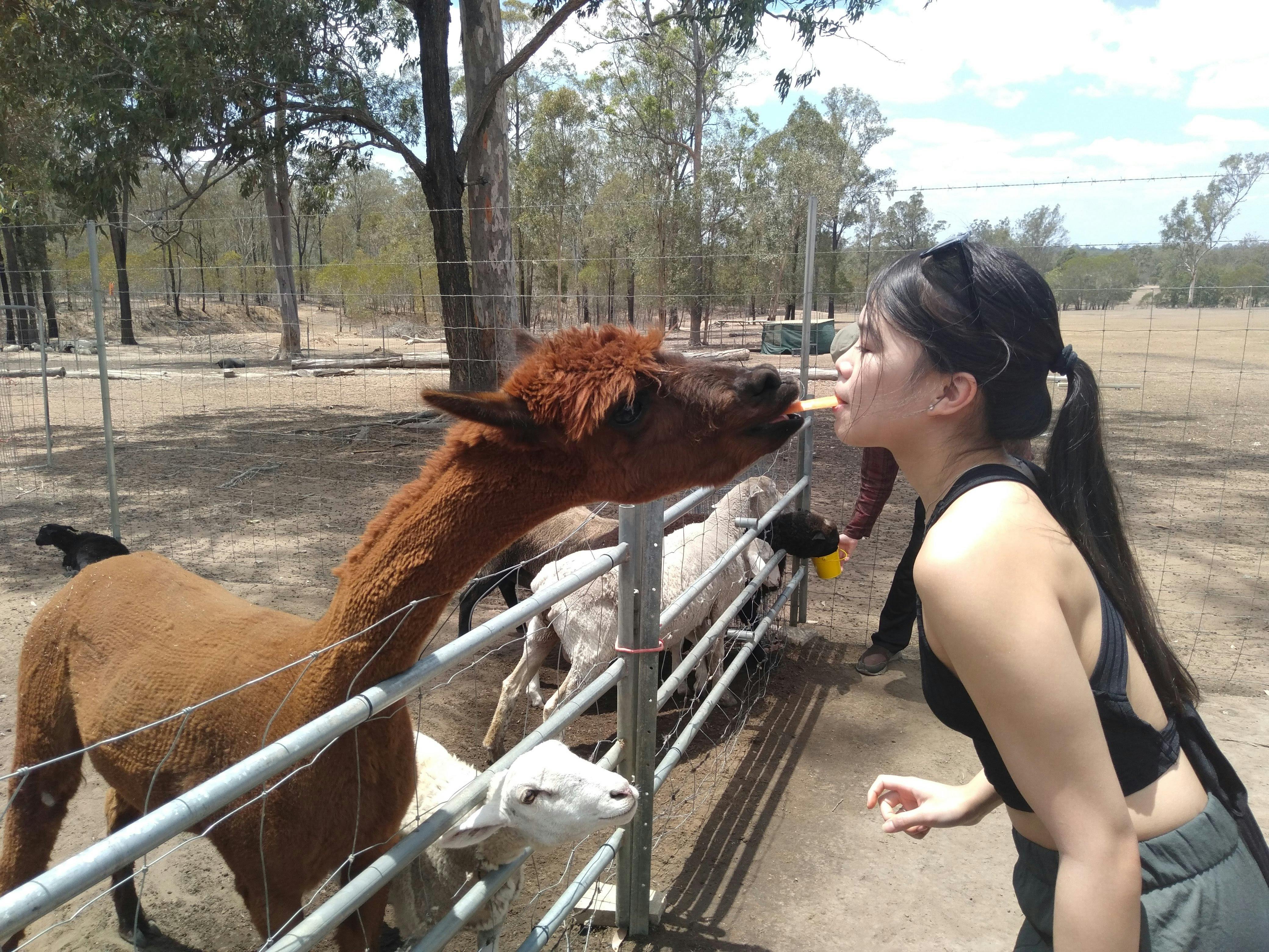 Adventure Day Trips Brisbane | Tours | Queensland