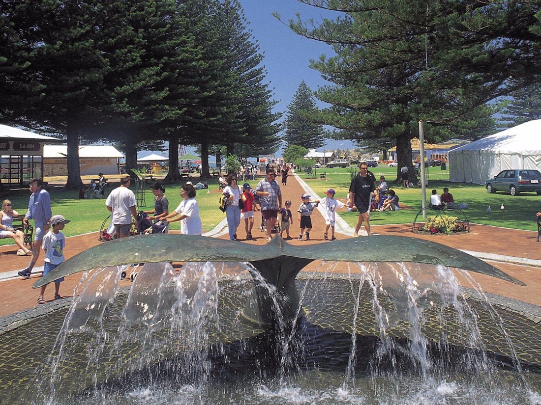 Victor Harbor and Southern Highlights Day Tour, Tour Service