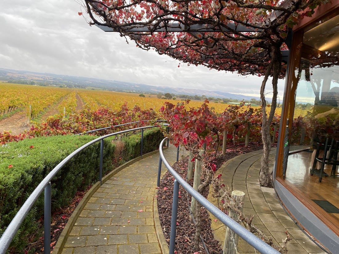 Private Luxury Tour of the Iconic Wine Regions with MC Wine Tours...