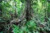 Djiru National Park | Cairns & Great Barrier Reef