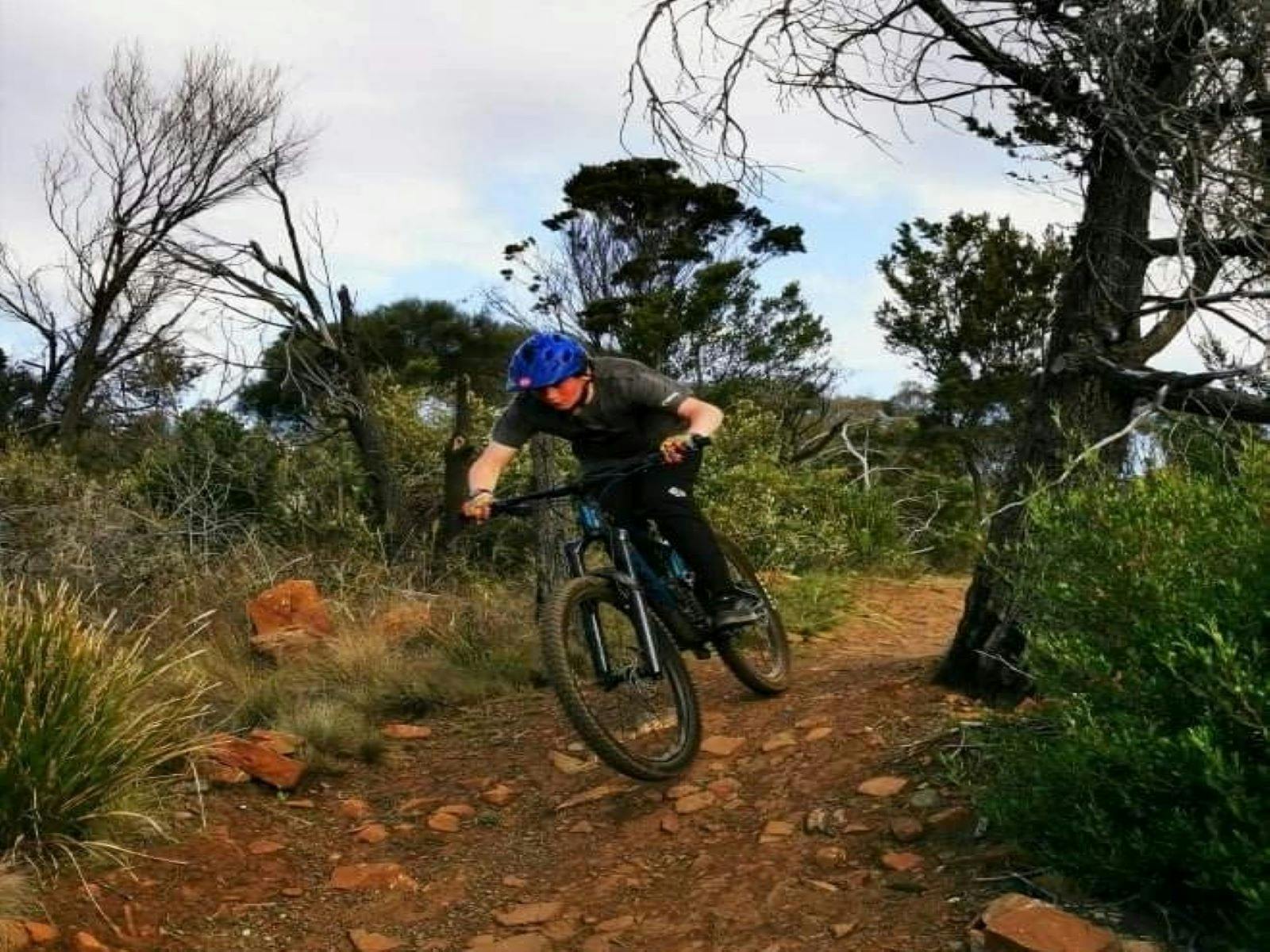 Send It MTB Shuttles | Transport | Discover Tasmania