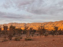 Mount Little Station - Hawker, Accommodation | South Australia