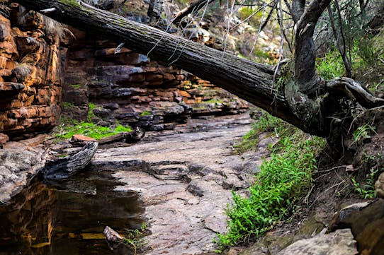 Mount Remarkable National Park - Melrose, Attraction | South Australia