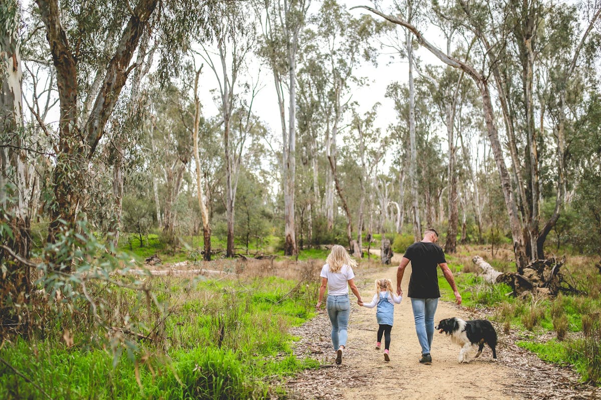 Moama Beach Nature Walk