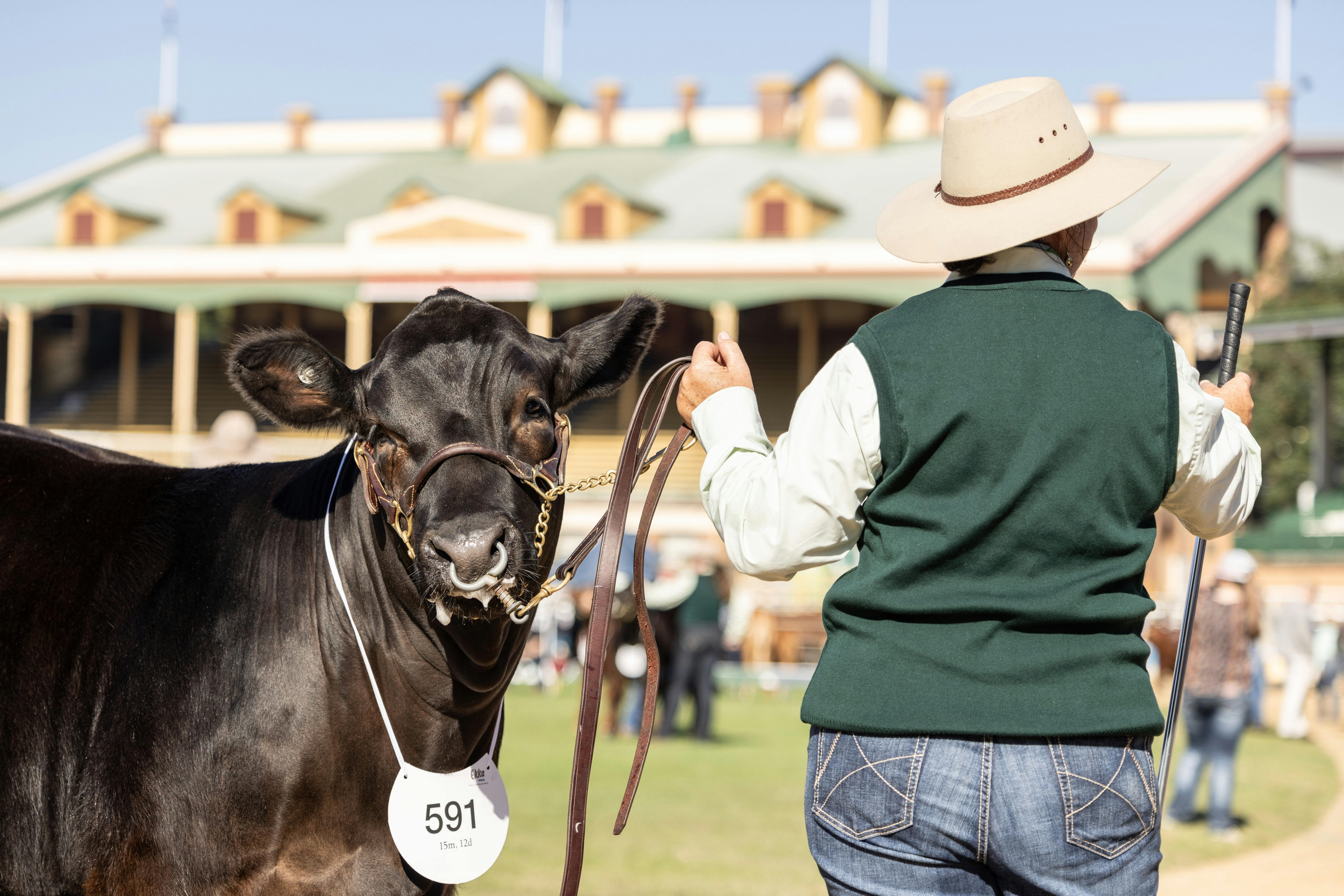 Ekka | Royal Queensland Show