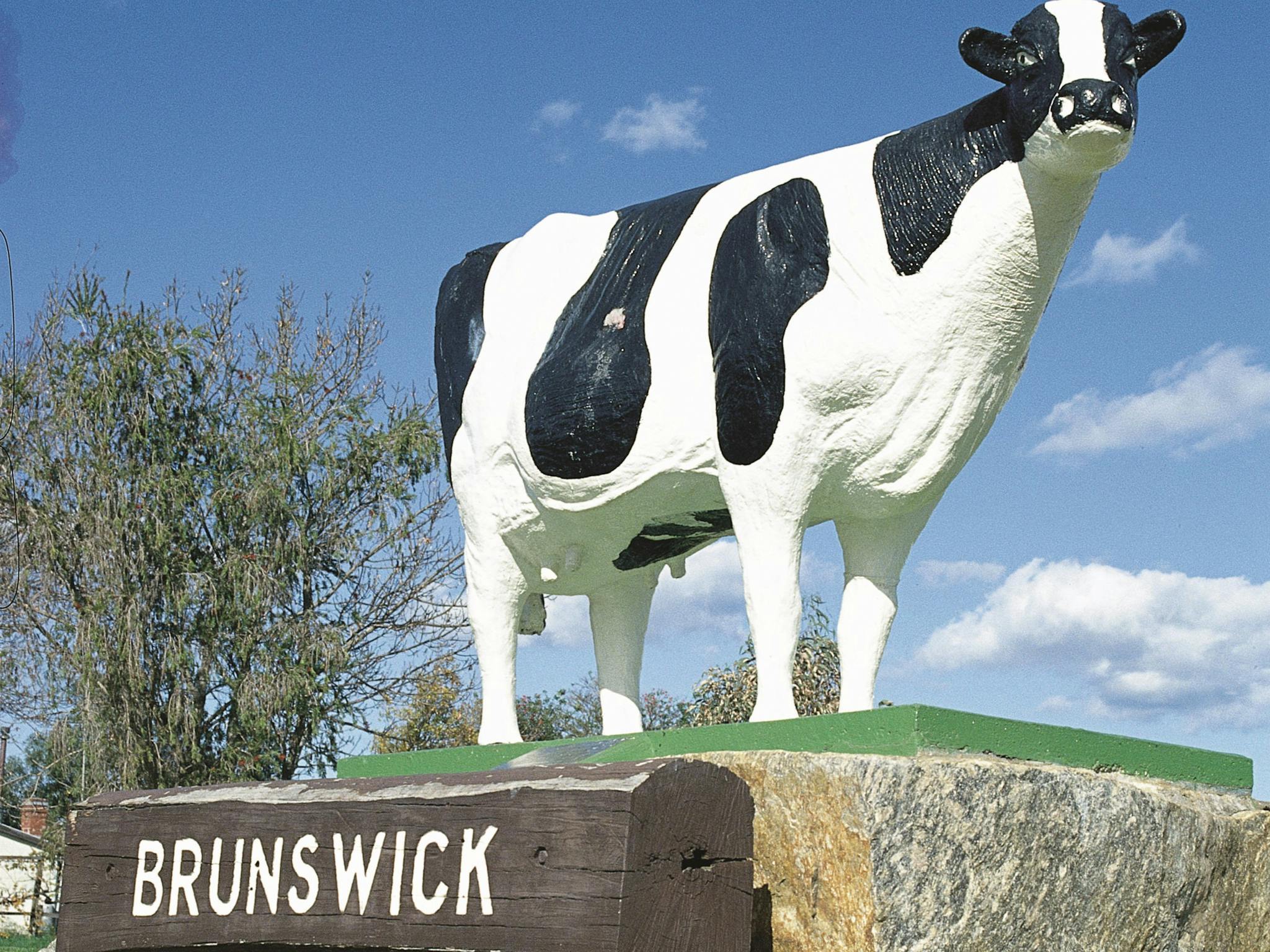 Brunswick Cow | Browse and Book Nearby Caravan Parks