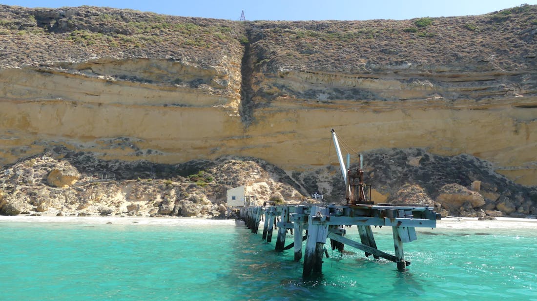 Althorpe Island Experience, Tour Service | South Australia