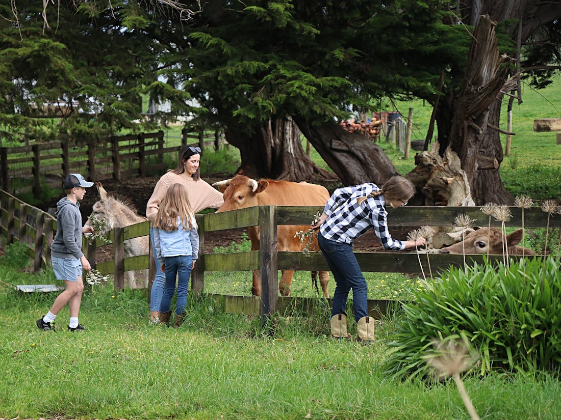 Echo Farm - Mount Gambier, Attraction | South Australia