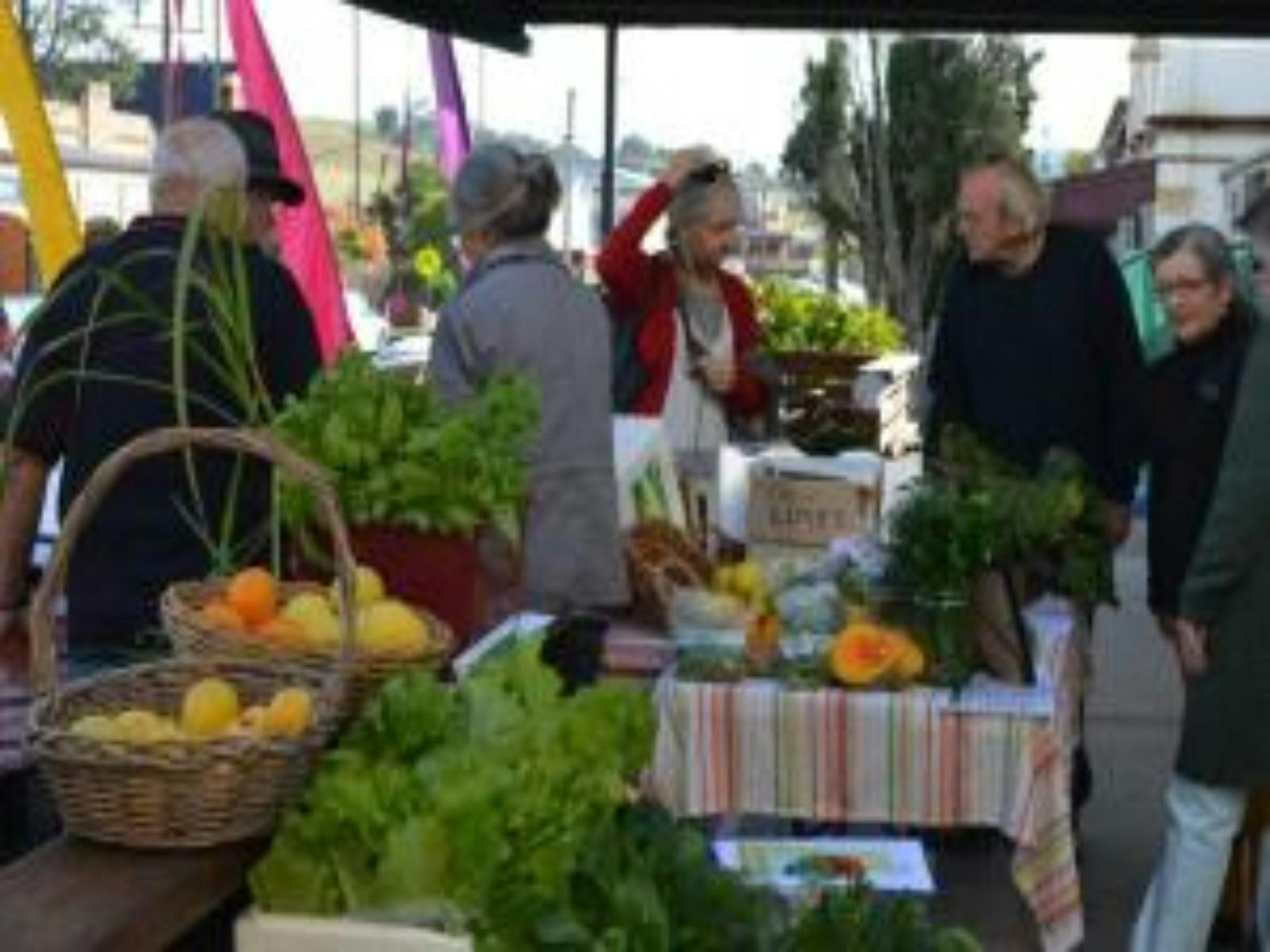 Dungog Local Growers Stall | NSW Holidays & Accommodation, Things to Do ...