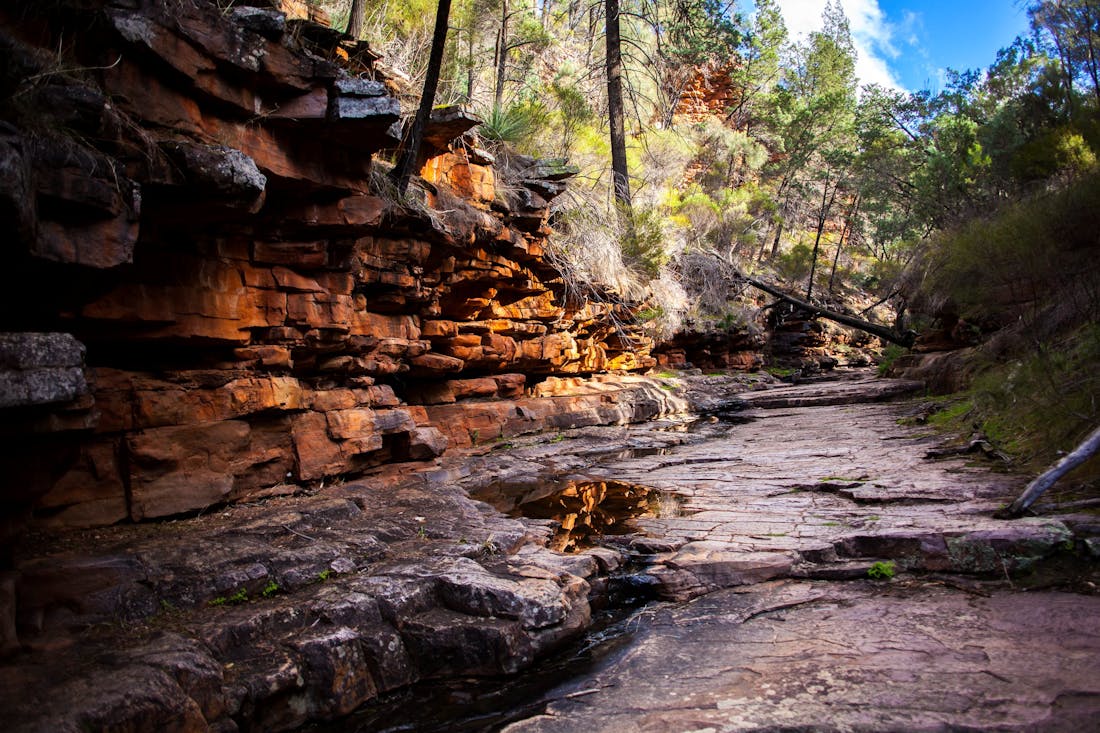 Mount Remarkable National Park - Melrose, Attraction | South Australia