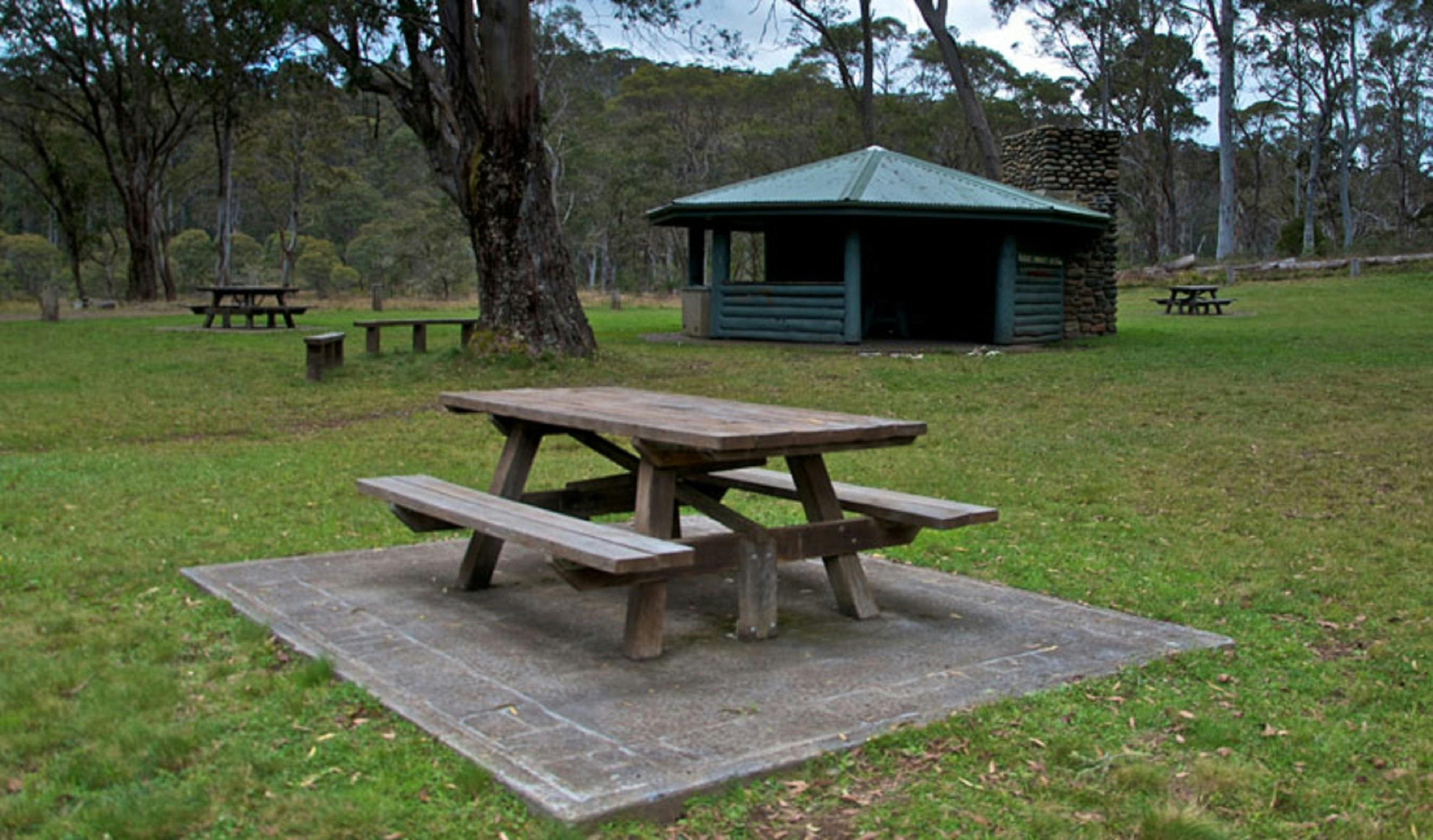 Polblue campground and picnic area | NSW Holidays & Accommodation ...