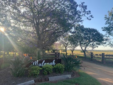 Nobby | Destination-information | Queensland