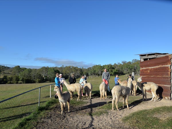 Maidenwell | Destination-information | Queensland