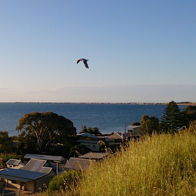 Pine Point - Pine Point, Destination Information | South Australia