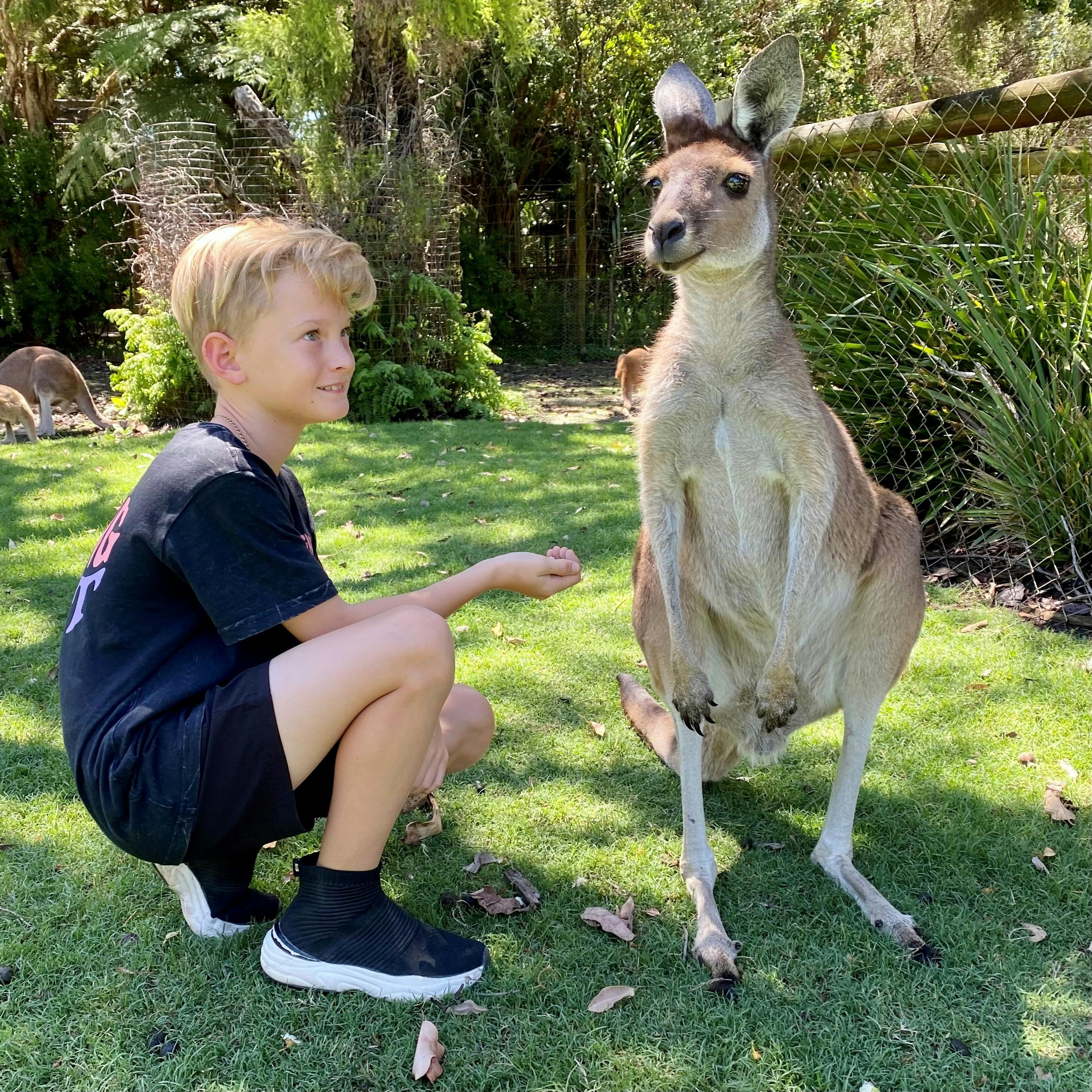 Caversham Wildlife Park | Browse and Book Nearby Caravan Parks