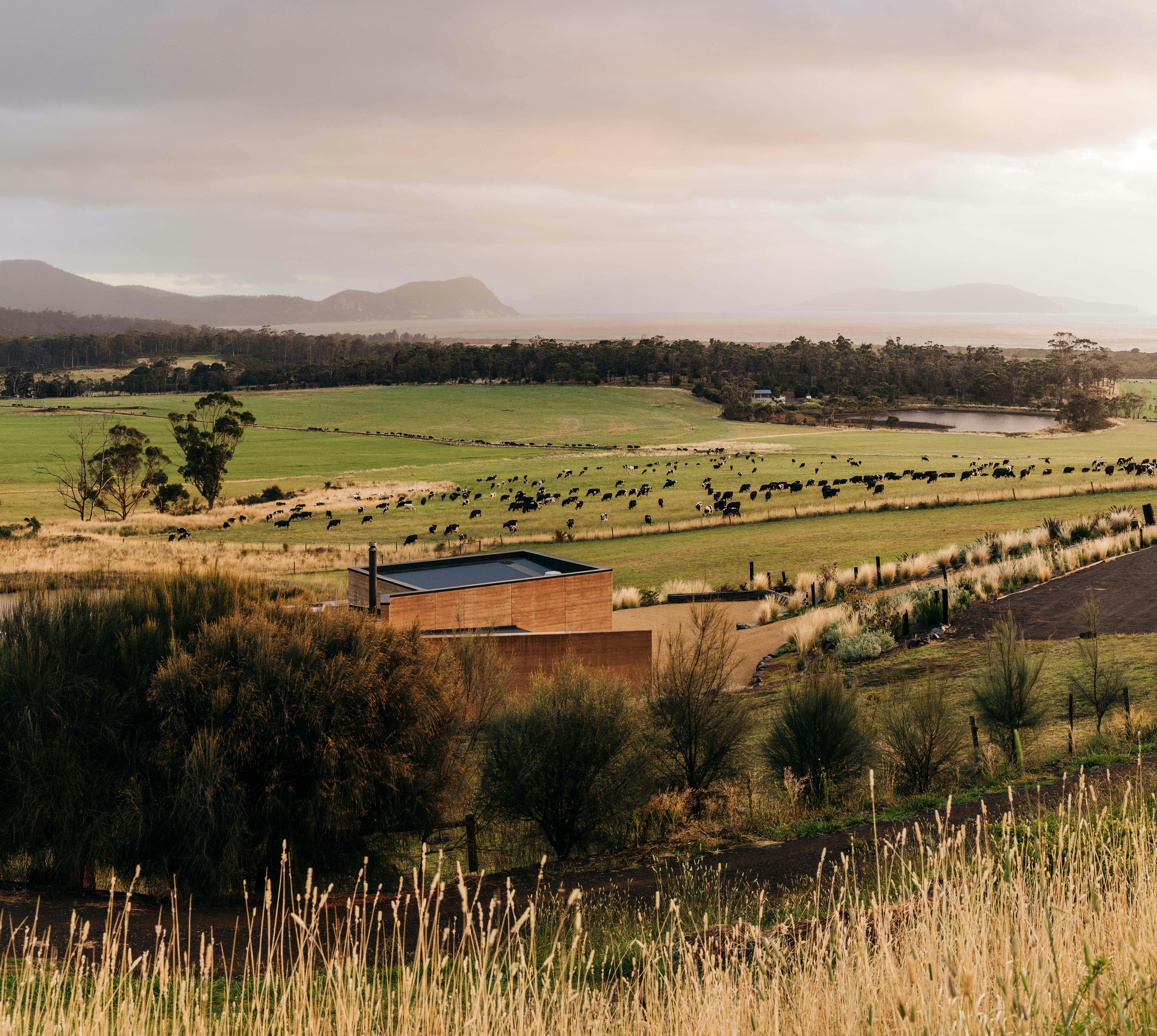 Van Bone Restaurant - Hobart and Beyond