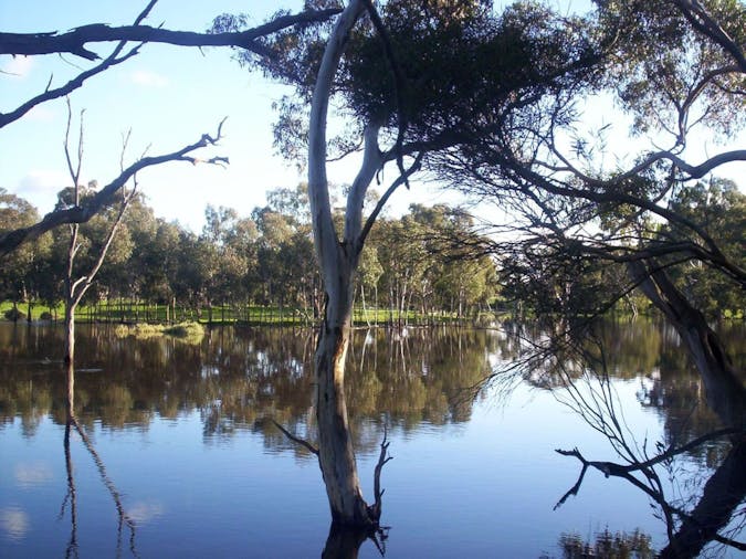 Cygnet River - Cygnet River, Attraction | South Australia
