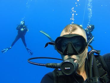 Iplay Adventure Coomera | Attractions | Queensland