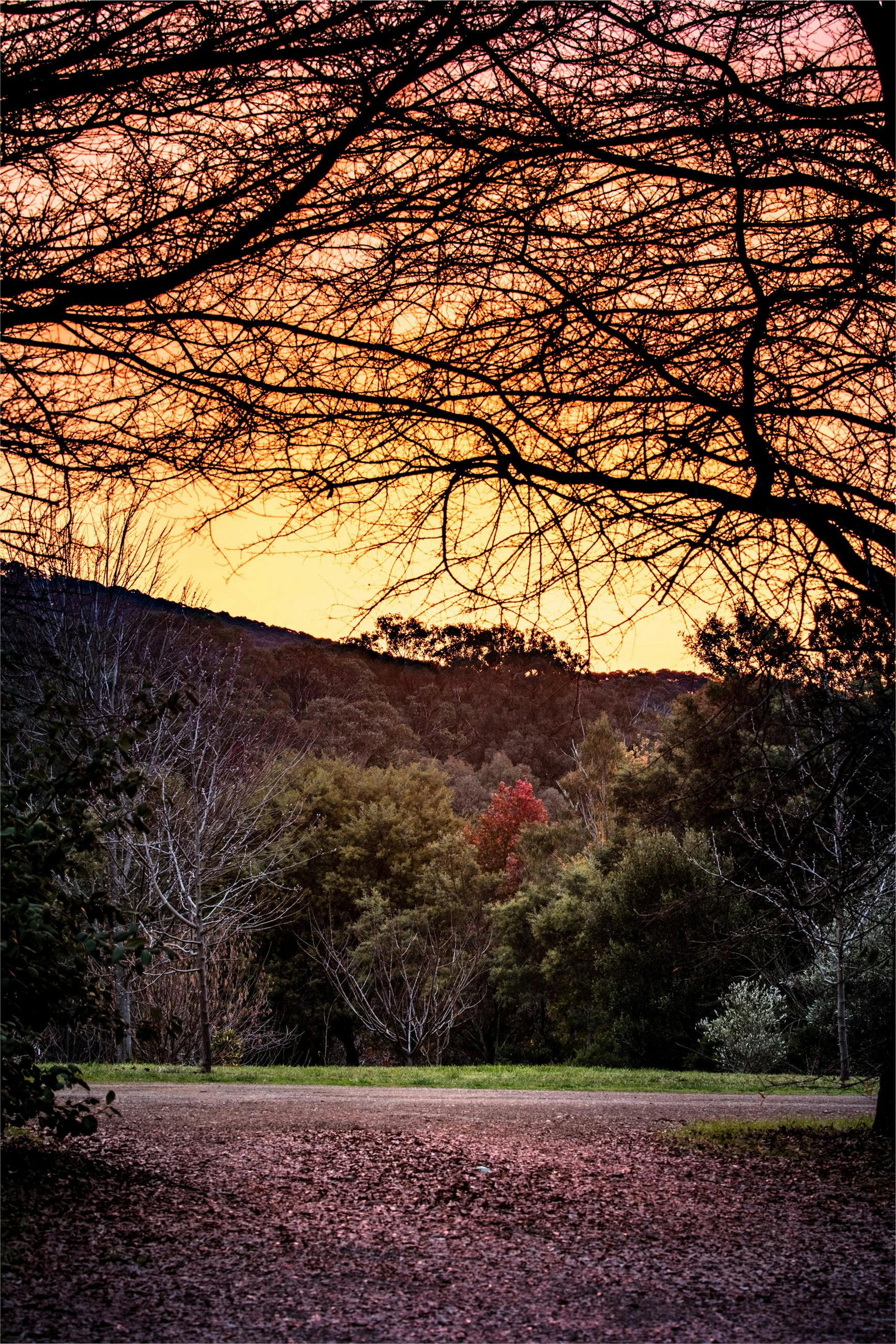 Stanley Cabin - Victoria's High Country