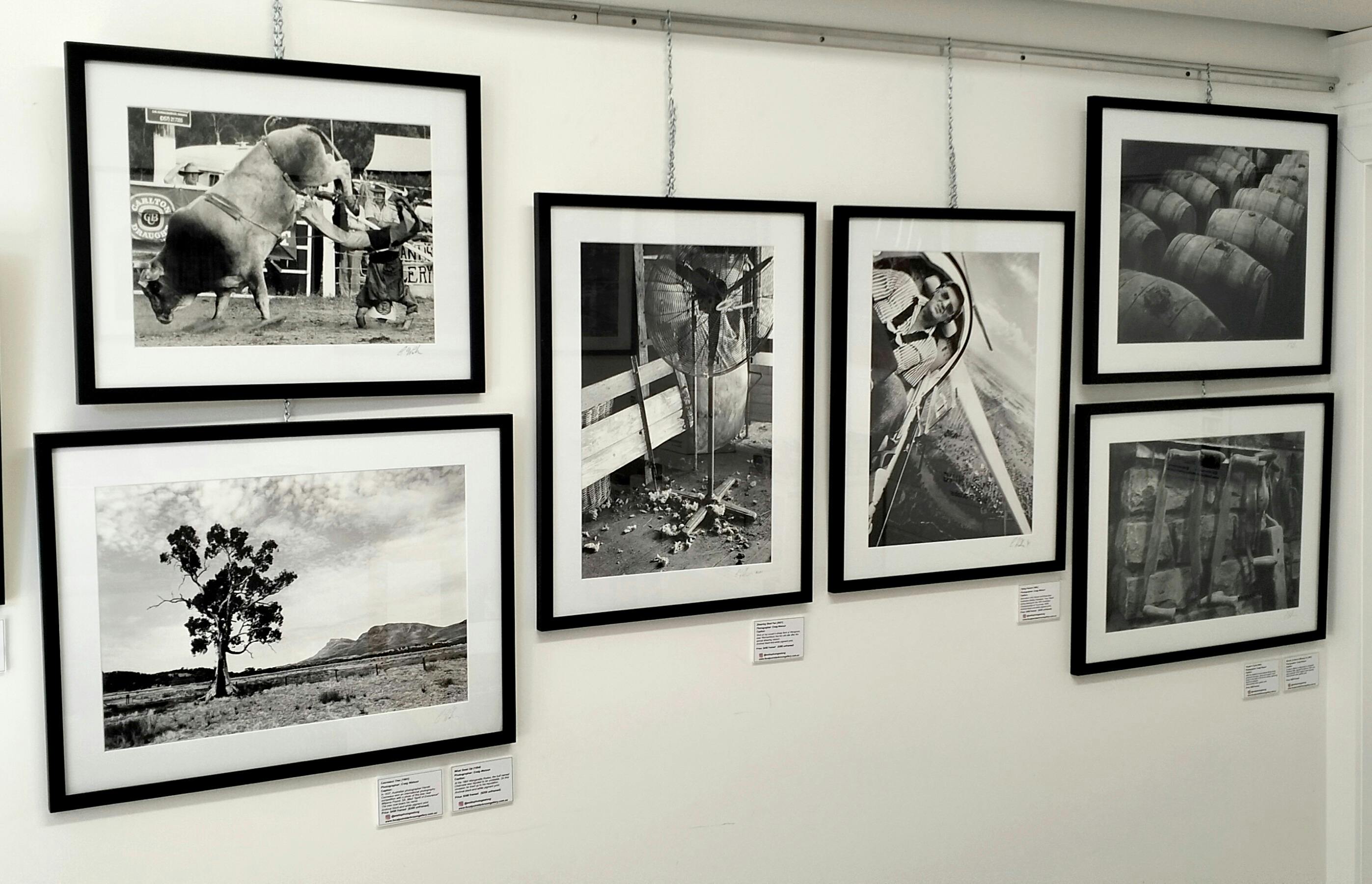 Focal Point Gallery in Geelong - The Fold: Your Guide to Everything ...