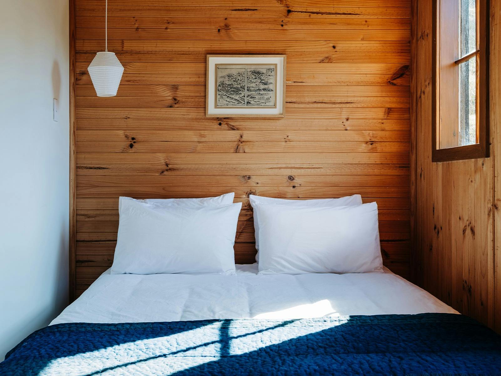 Wellington Park | Nature and wildlife | Discover Tasmania