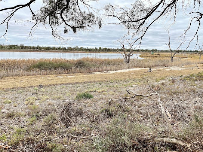 Hart Lagoon Walking Trail - Waikerie, Attraction | South Australia