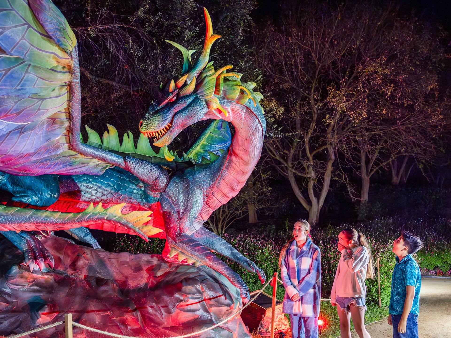 Mega Creatures Night Safari in Pokolbin - The Fold: Your Guide to ...