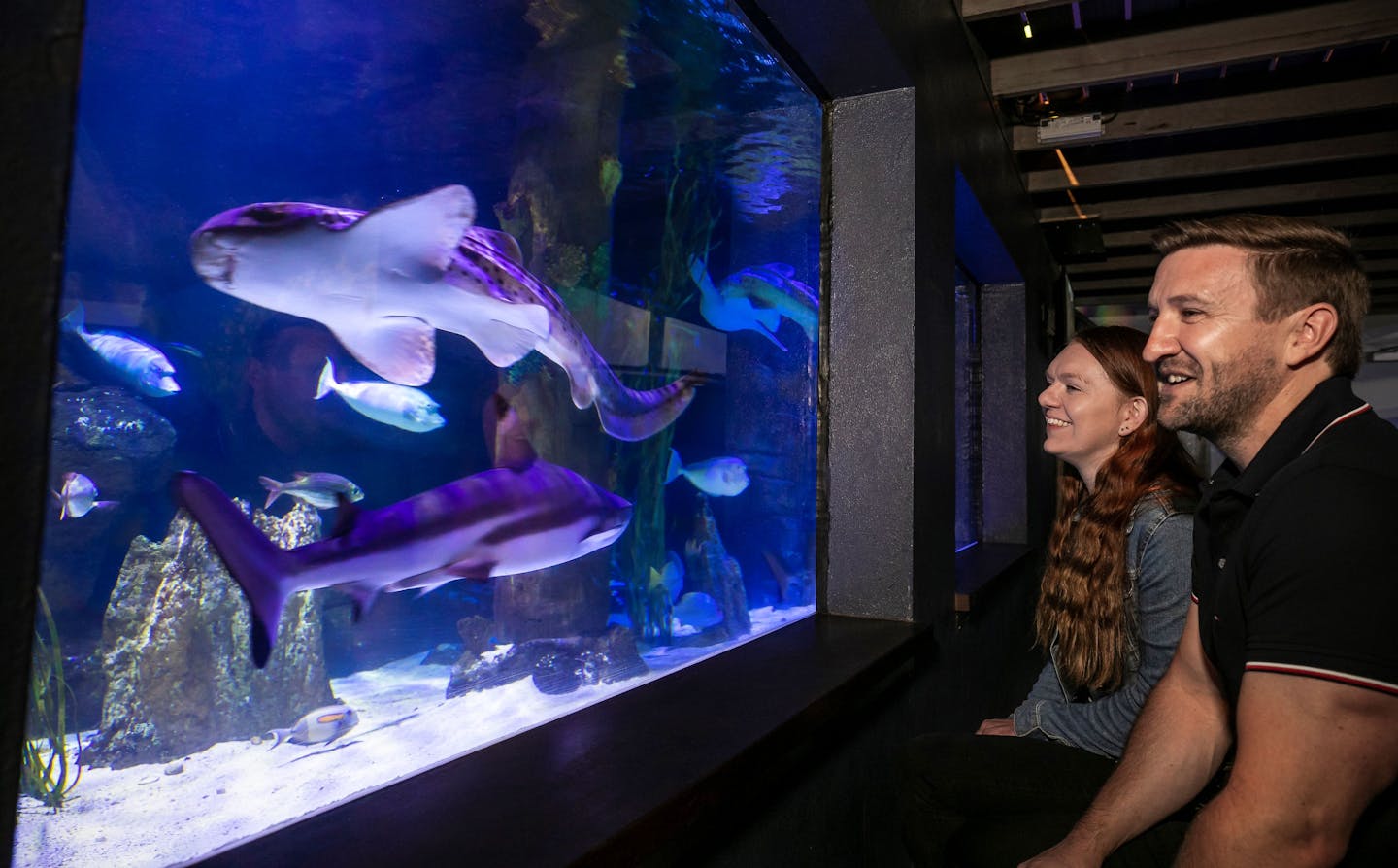 School Holiday Kick off at the National Zoo! | HerCanberra