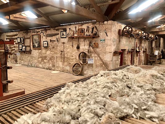 Mt Dutton Bay Woolshed Museum - Mount Dutton Bay, Attraction | So...