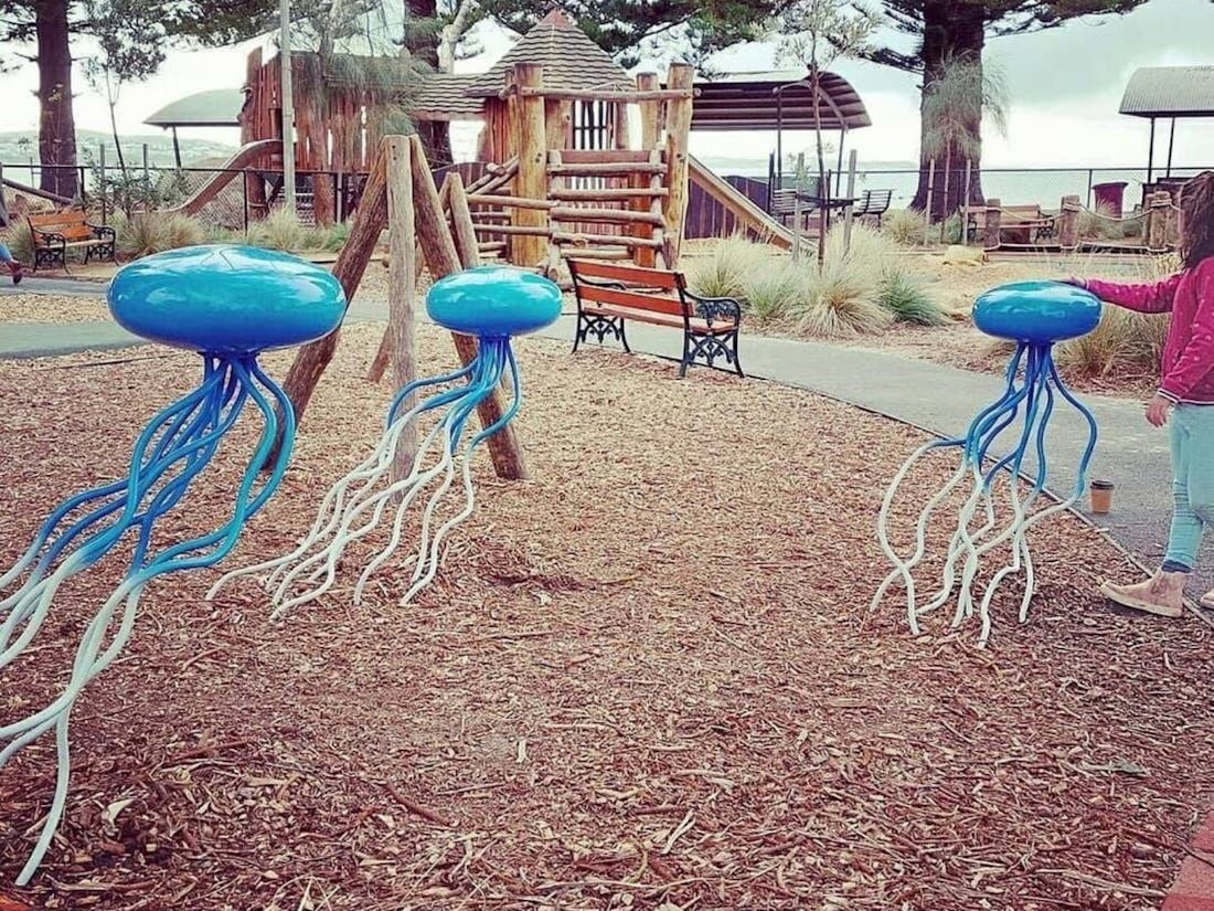 George T Fisher Playground - Victor Harbor, Attraction