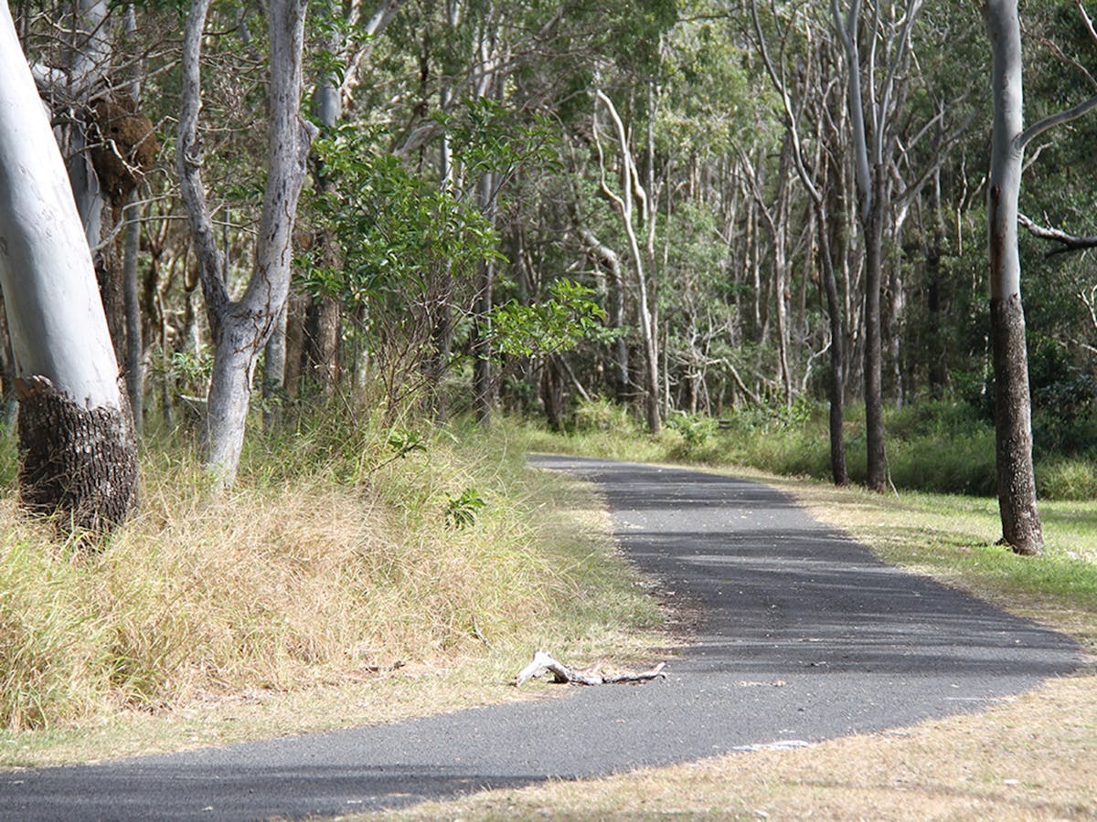 Barolin Nature Reserve | Attractions | Queensland