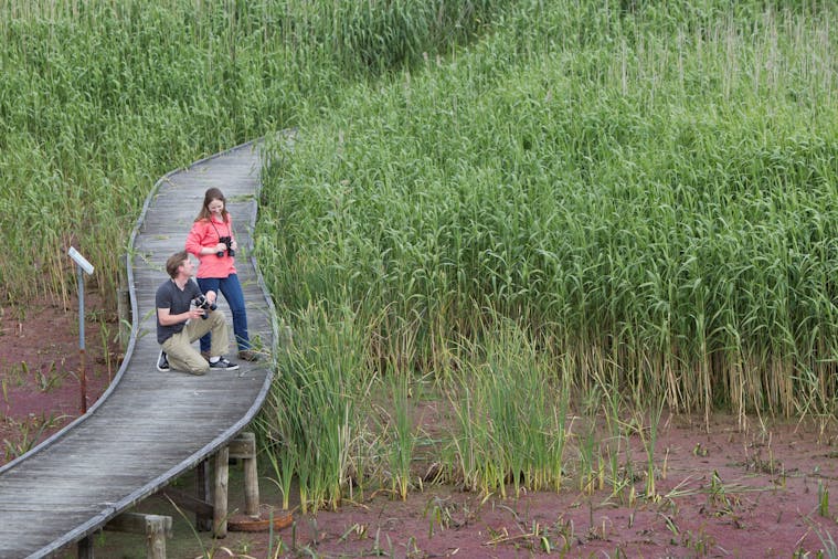 Bool Lagoon Game Reserve and Hacks Lagoon Conservation Park - Nar...