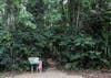 Djiru National Park | Cairns & Great Barrier Reef
