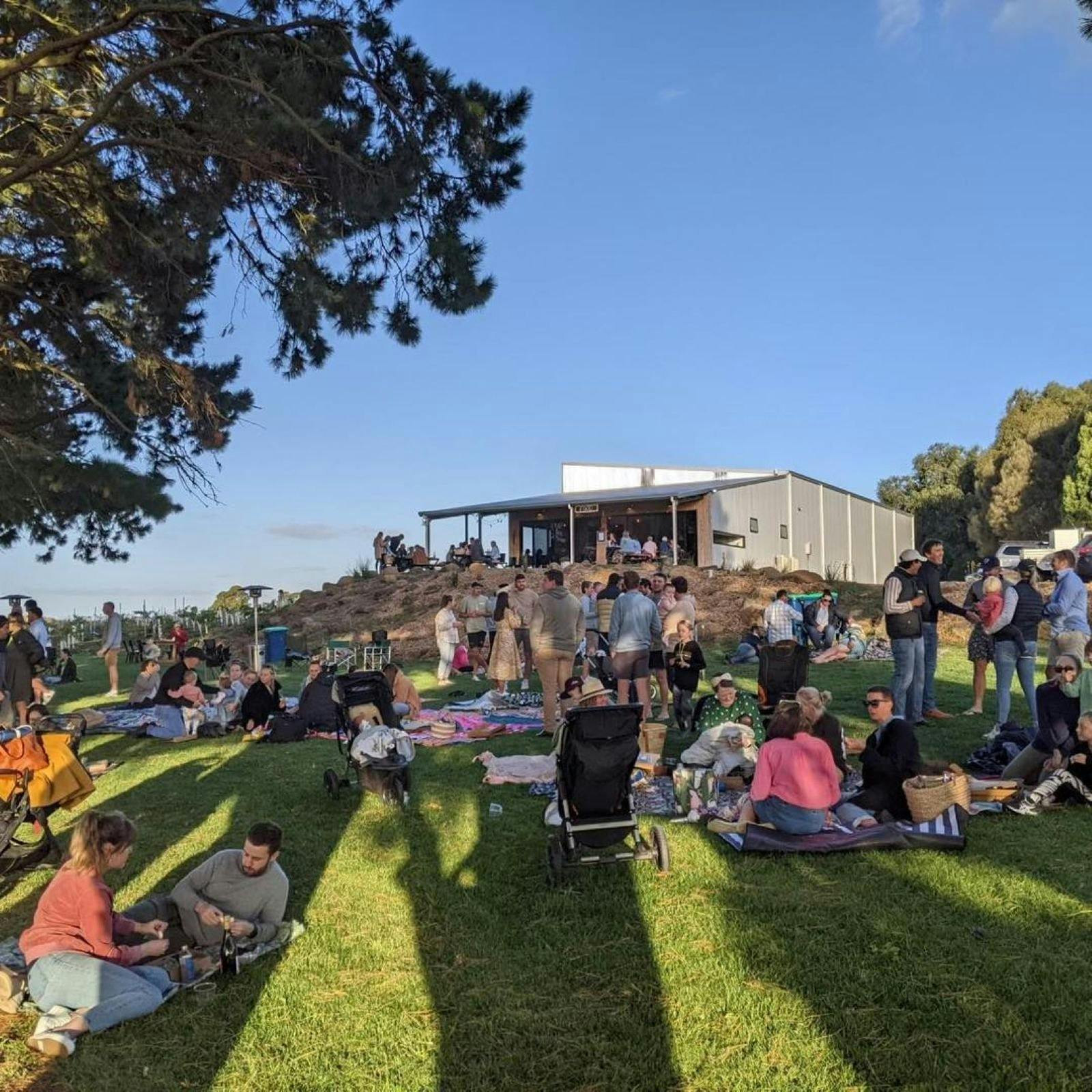 Sunday Live in Dixie - The Fold: Your Guide to Everything Regional ...