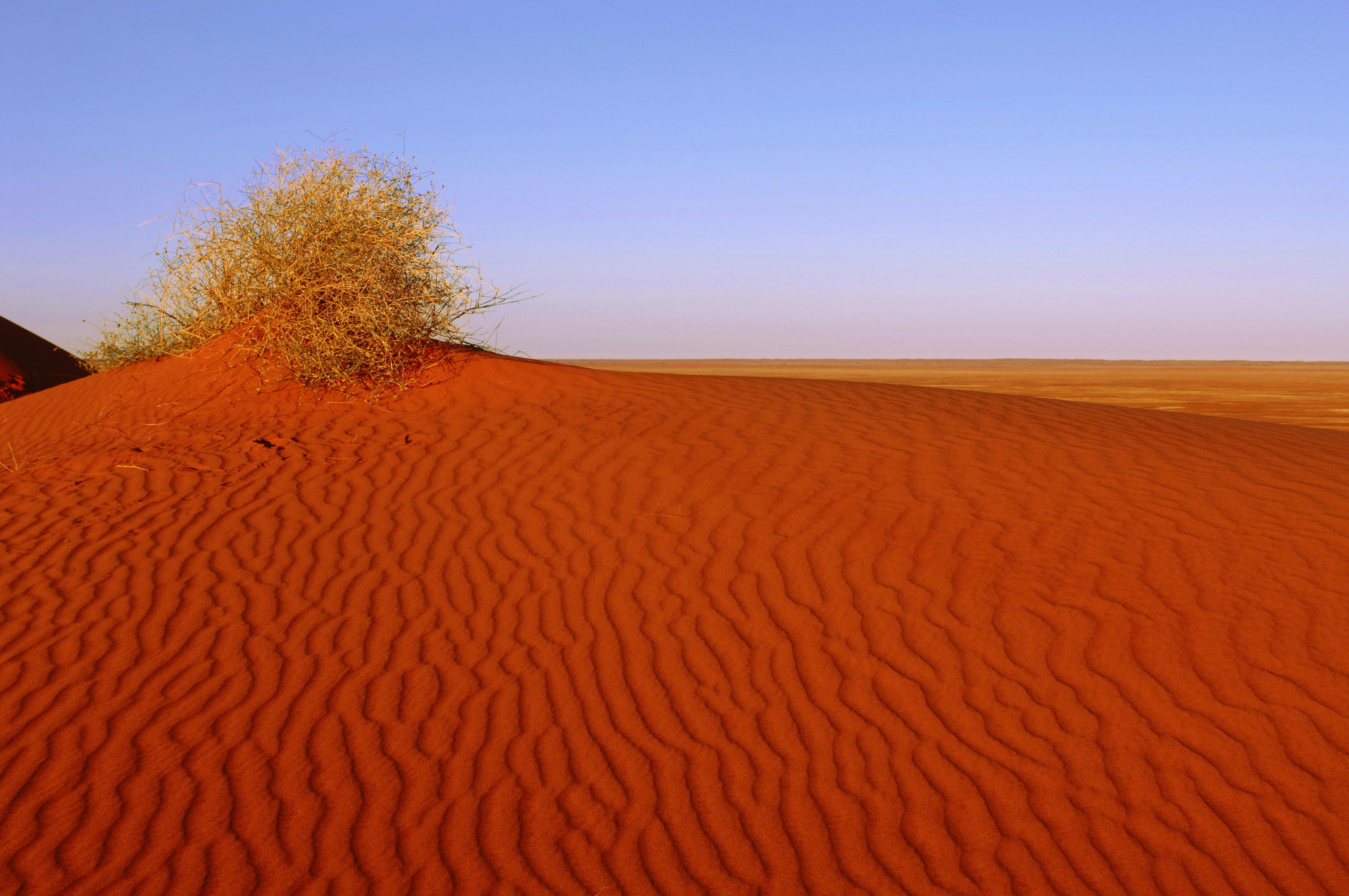 Simpson Desert near Alice Springs | Northern Territory, Australia