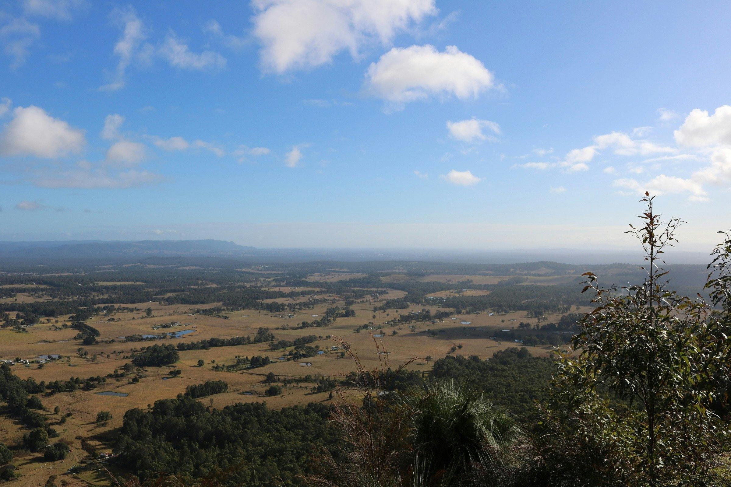 Heaton State Forest - Watagan Mountains | NSW Holidays & Accommodation ...