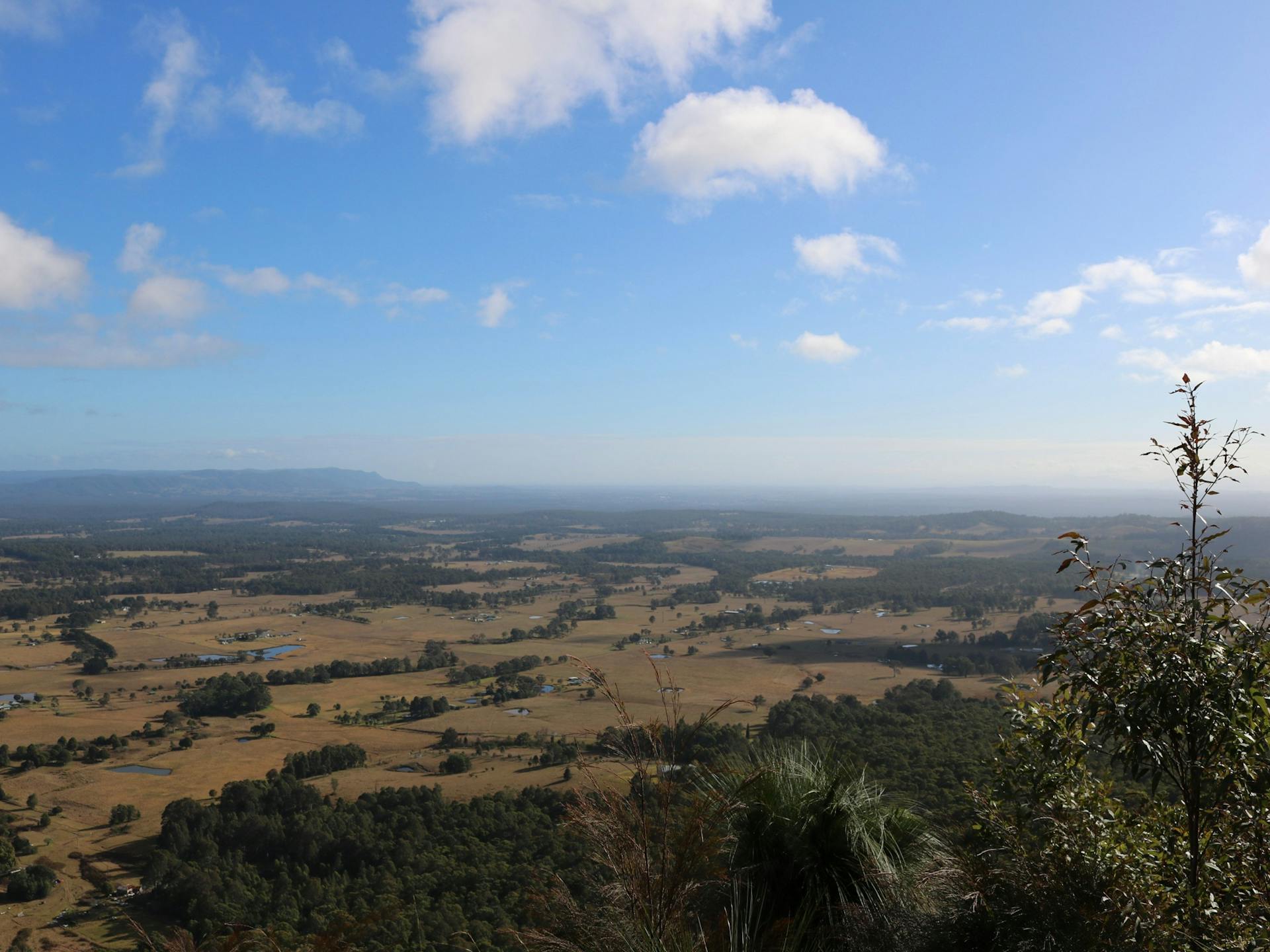 Heaton State Forest - Watagan Mountains in Olney - The Fold: Your Guide ...