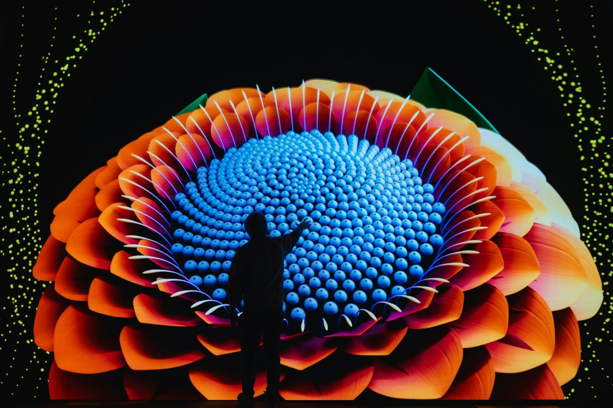 ILA - Adelaide, Attraction | South Australia