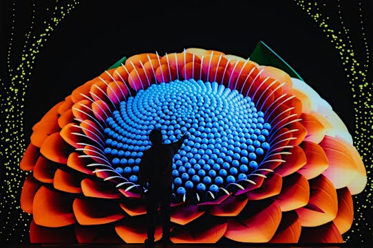 ILA - Adelaide, Attraction | South Australia