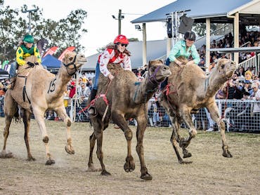 Queensland Events and Things to Do - Find An Event | Queensland