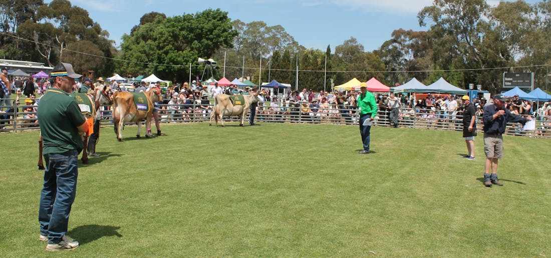 Meadows Country Fair - Meadows, Event | South Australia
