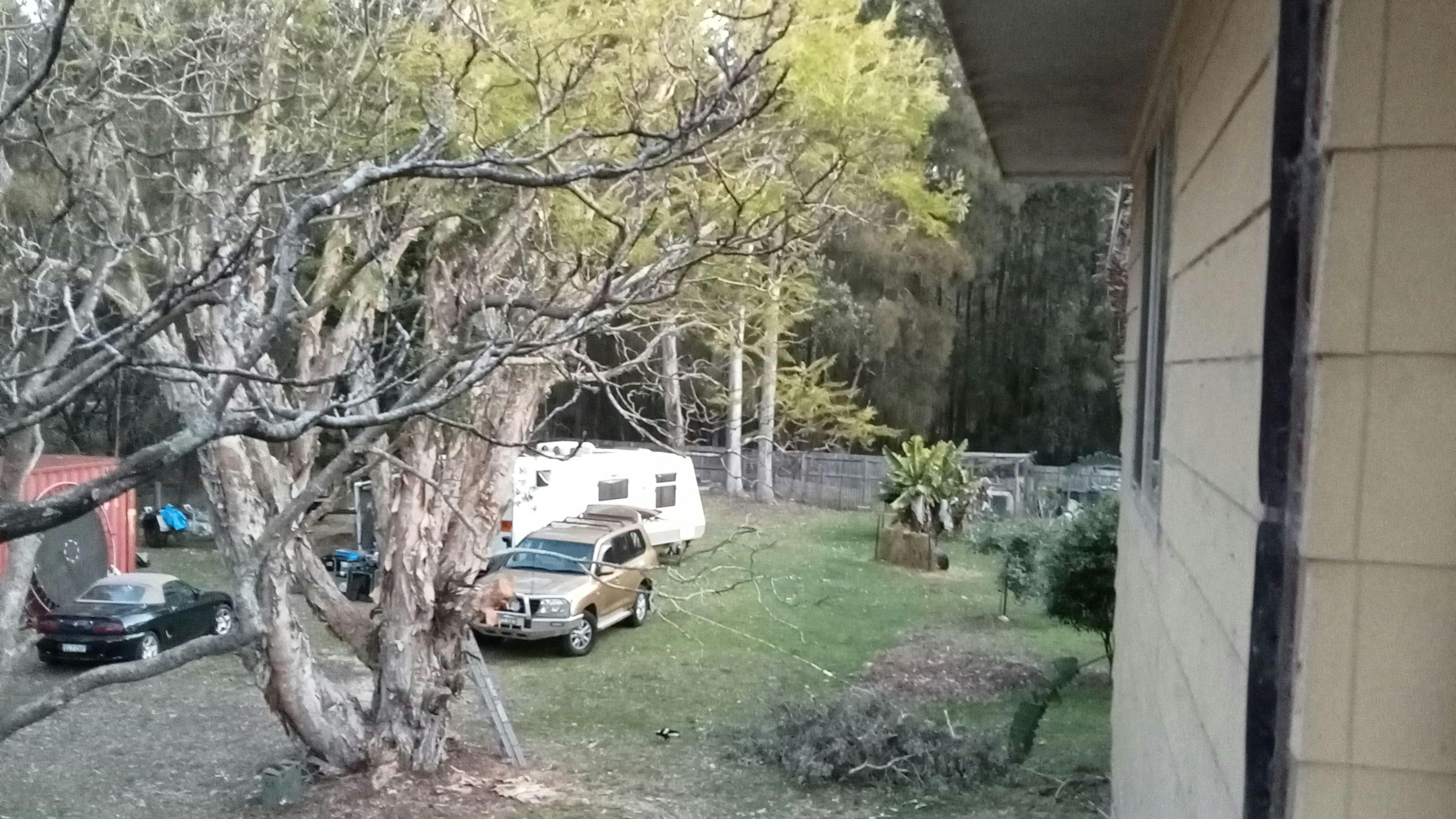 Holstein 1 | NSW Holidays & Accommodation, Things to Do, Attractions ...