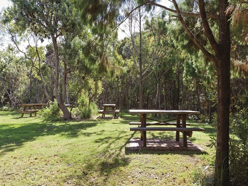 Illaroo group camping area | NSW Holidays & Accommodation, Things to Do ...