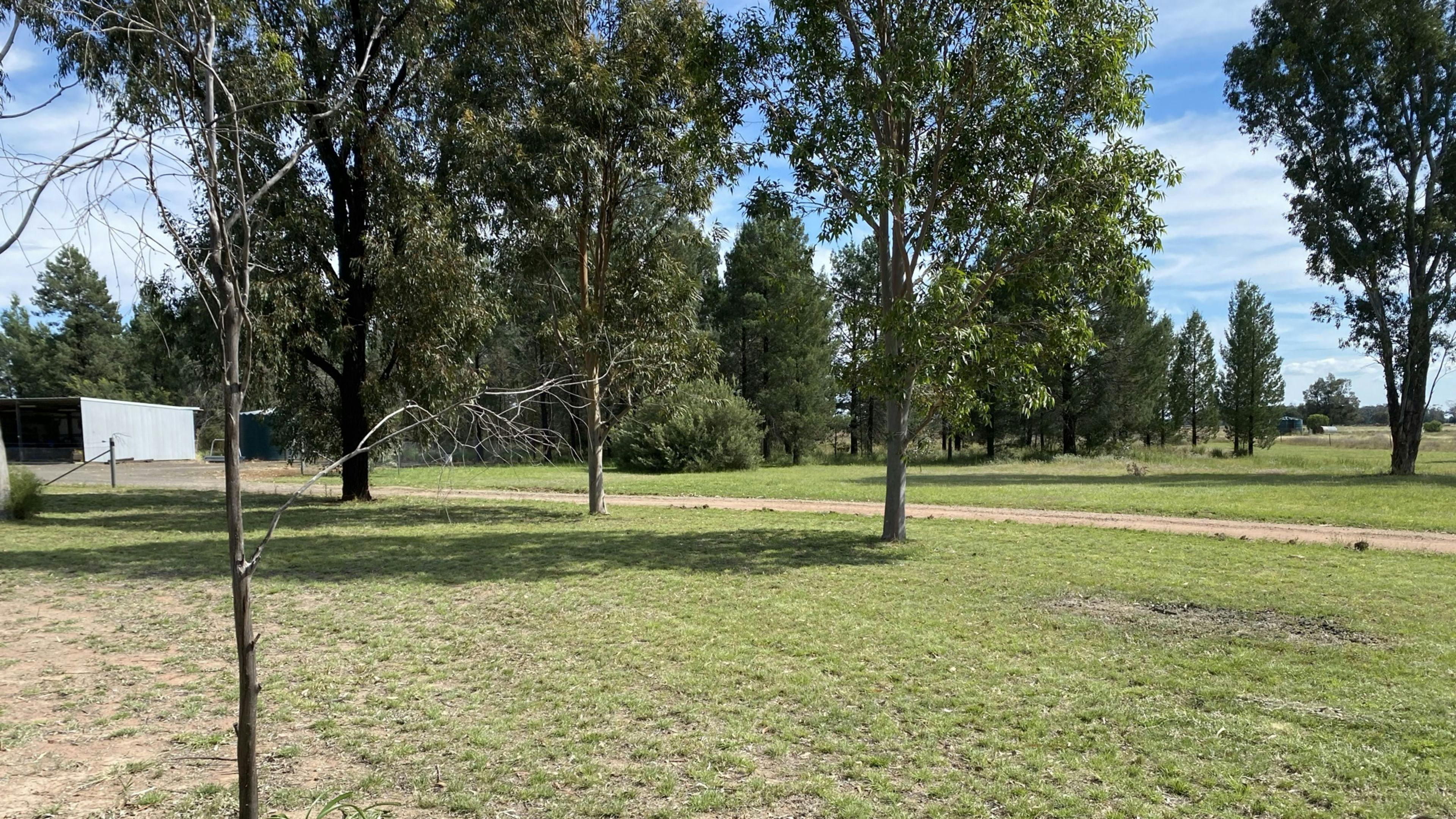 Scrub n Bush | NSW Holidays & Accommodation, Things to Do, Attractions ...